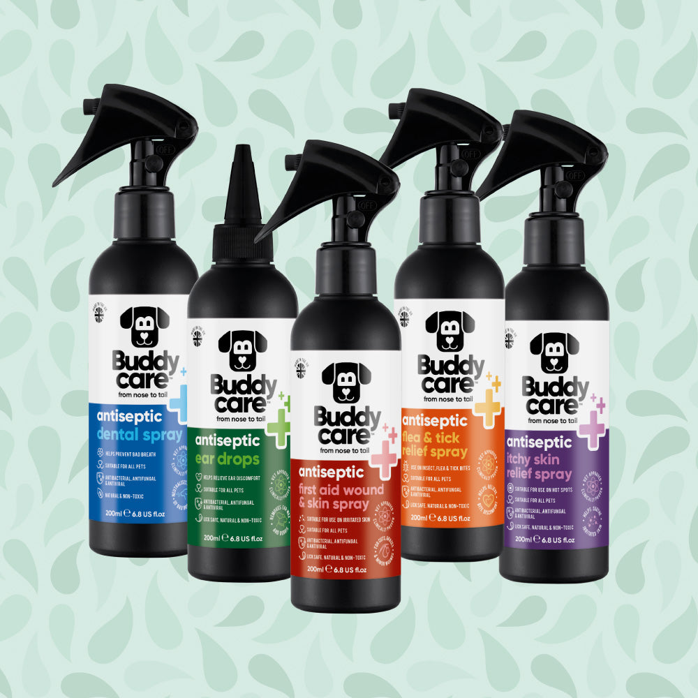 Buddycare - Dog & Cat Grooming